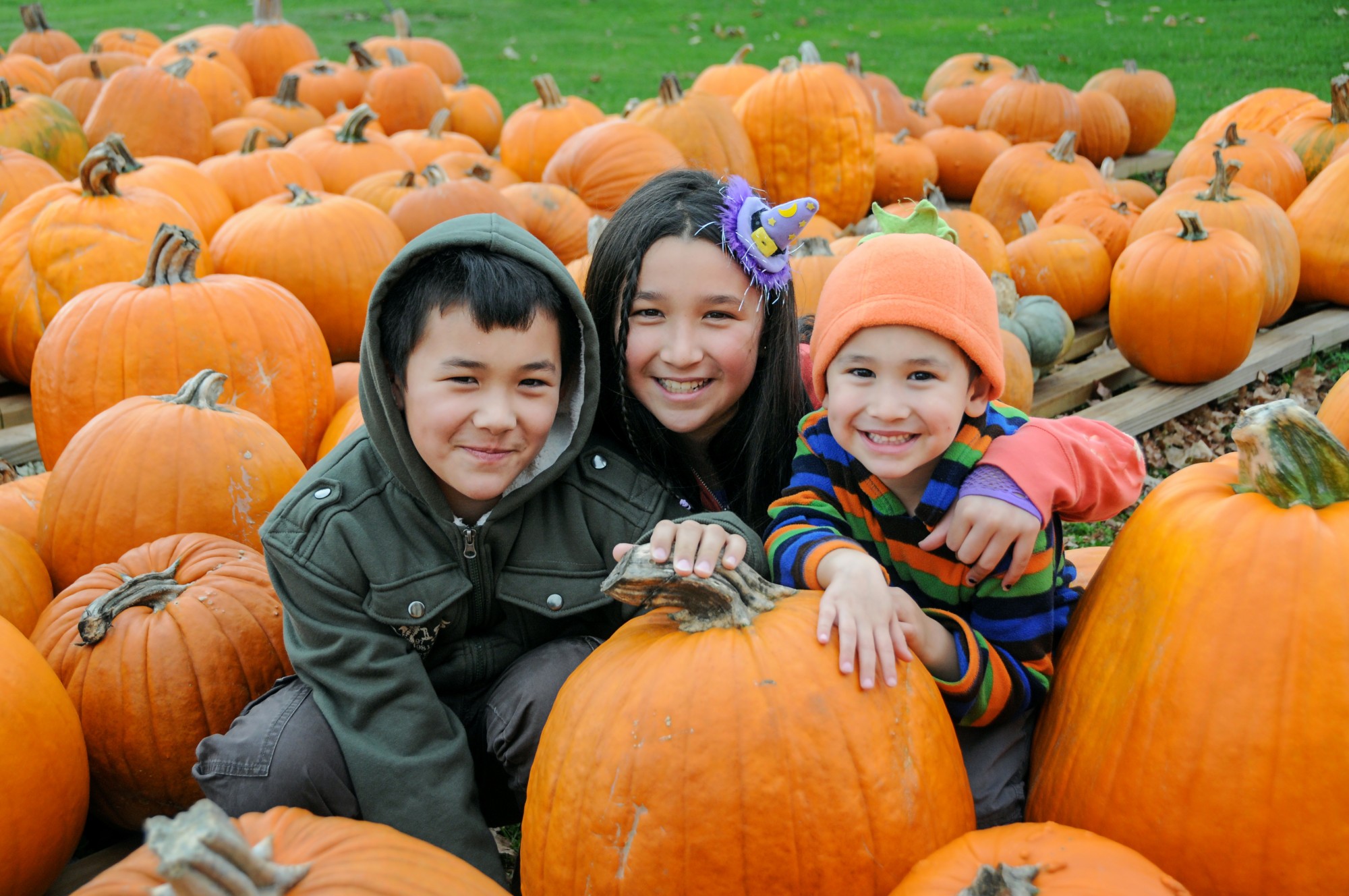 Fall into Fun: Boise's Best Events and Activities this Season!
